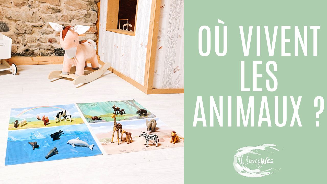 OÙ VIVENT LES ANIMAUX ? – J'imagINES