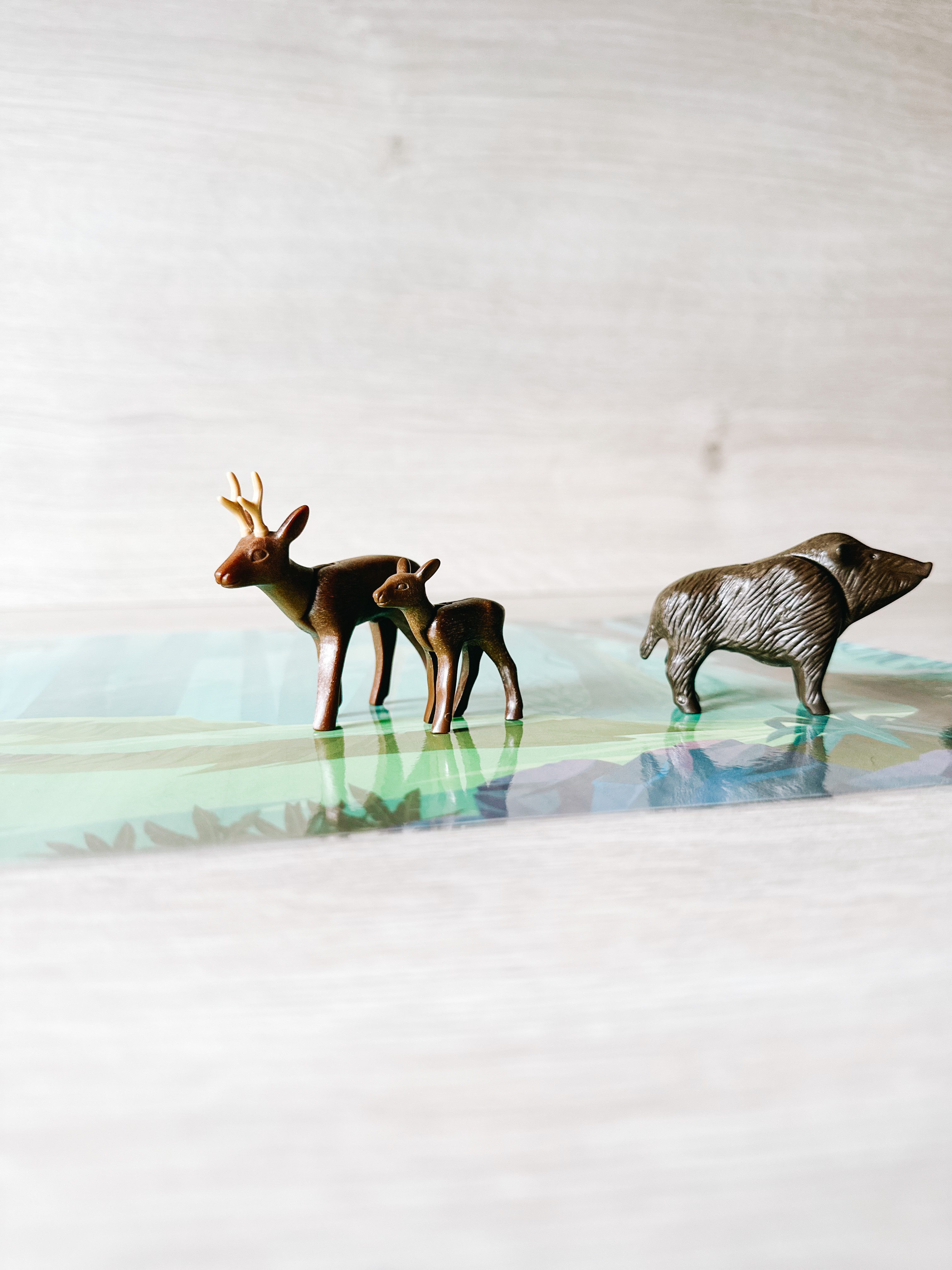 OÙ VIVENT LES ANIMAUX ? – J'imagINES