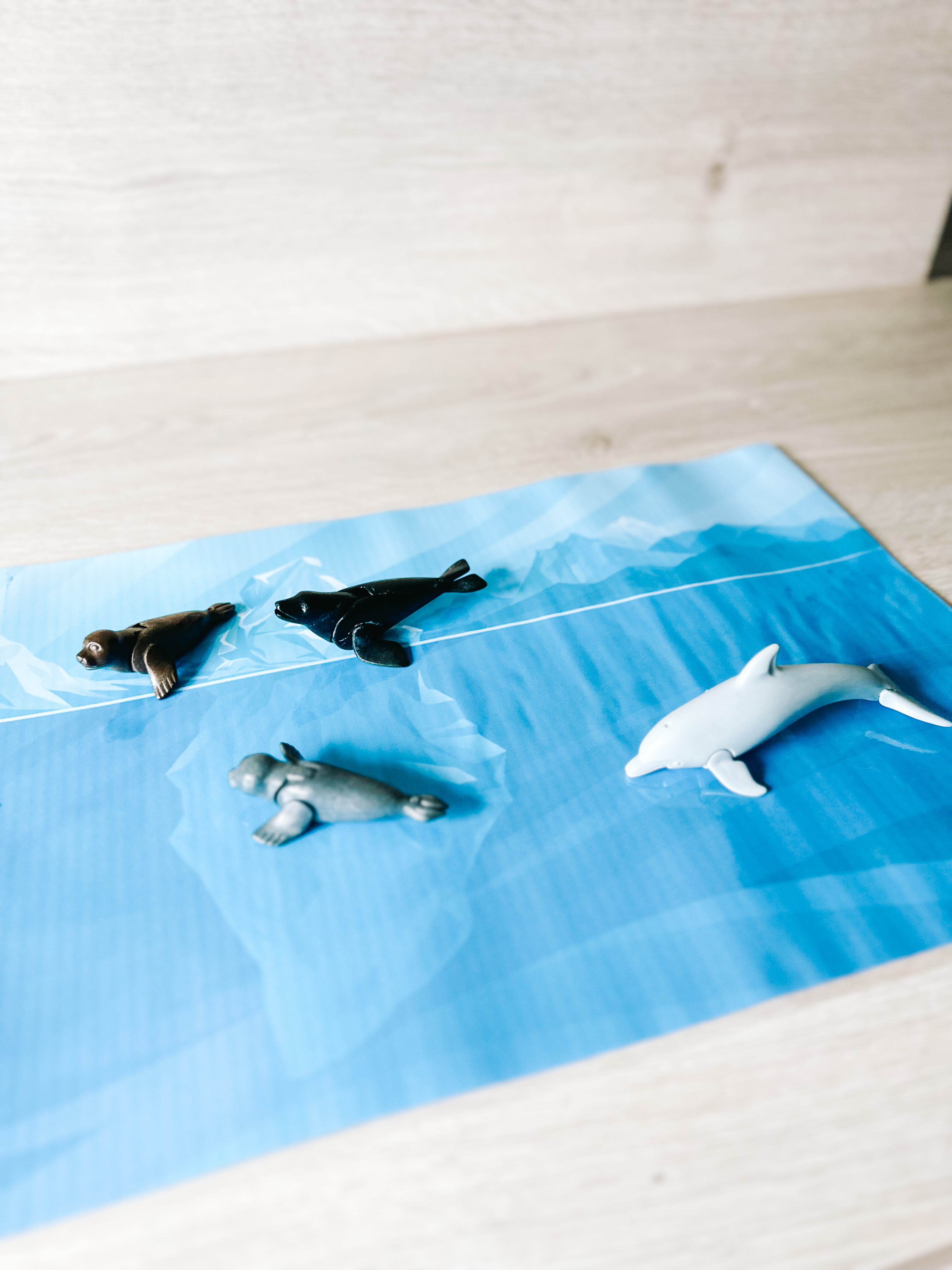 OÙ VIVENT LES ANIMAUX ? – J'imagINES