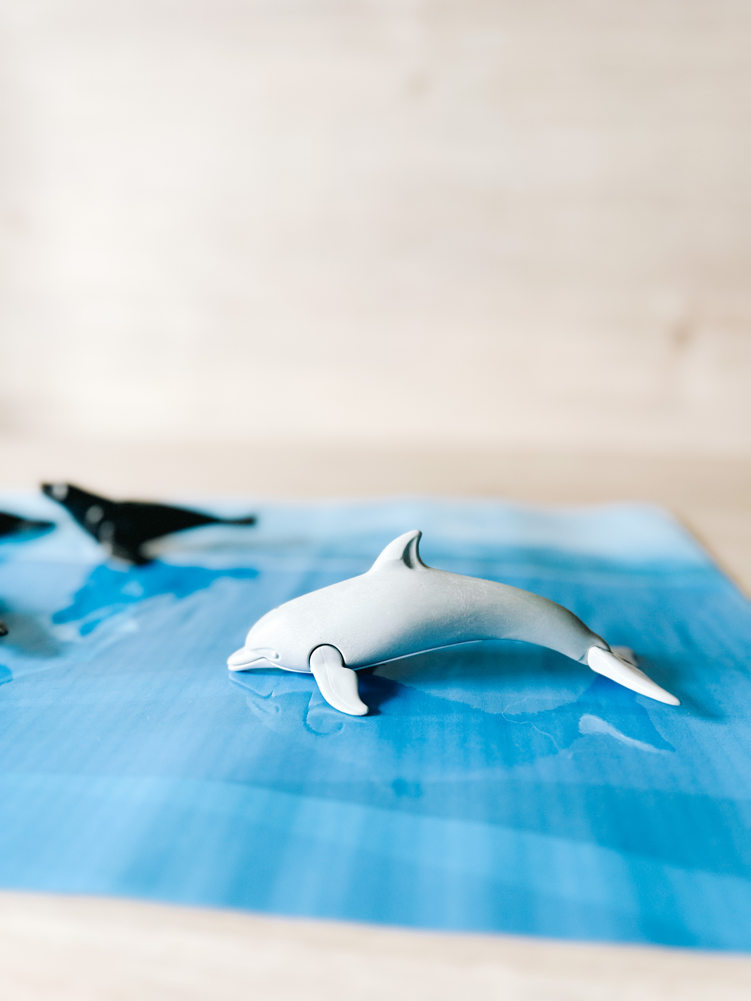 OÙ VIVENT LES ANIMAUX ? – J'imagINES