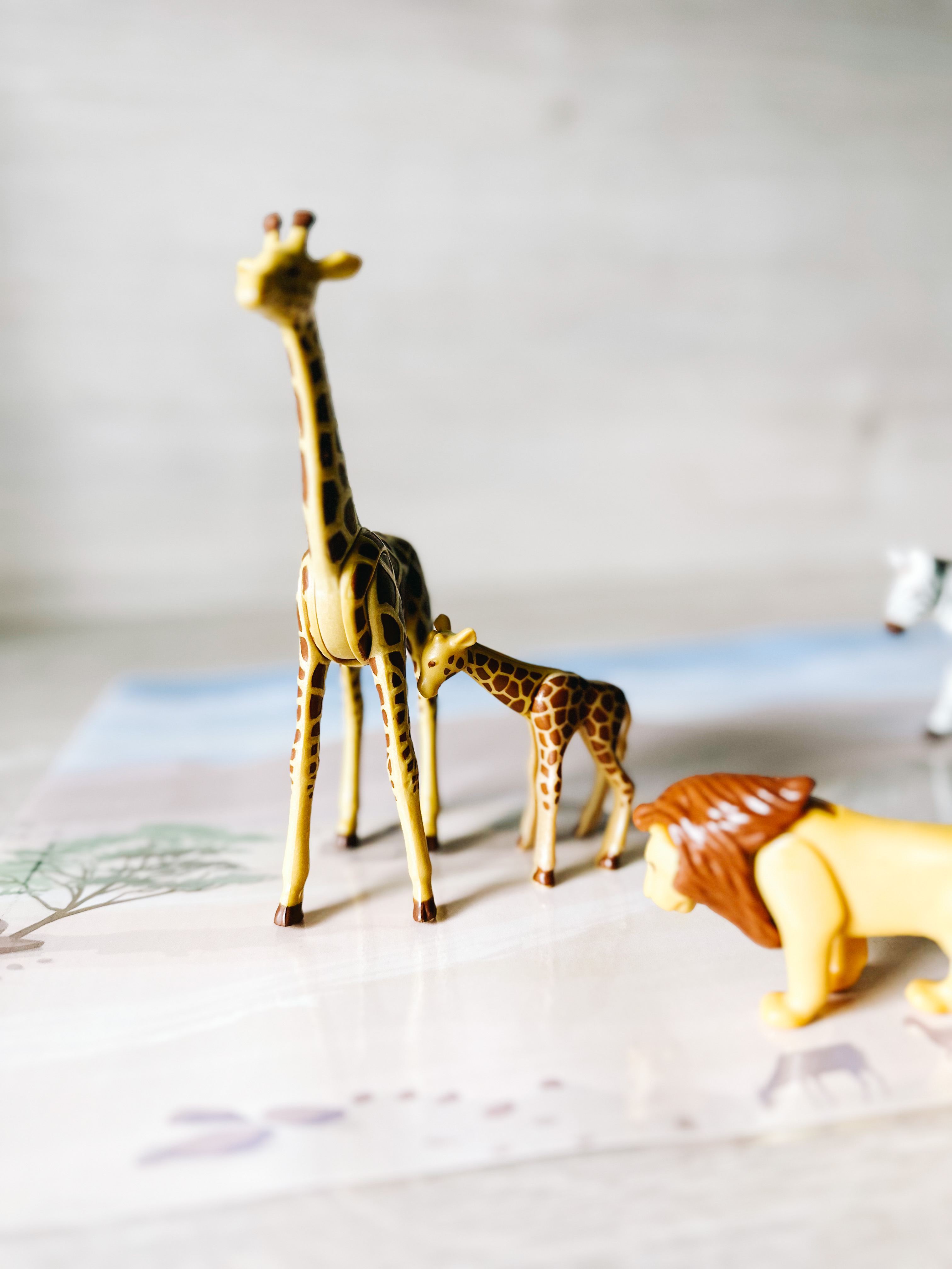 OÙ VIVENT LES ANIMAUX ? – J'imagINES