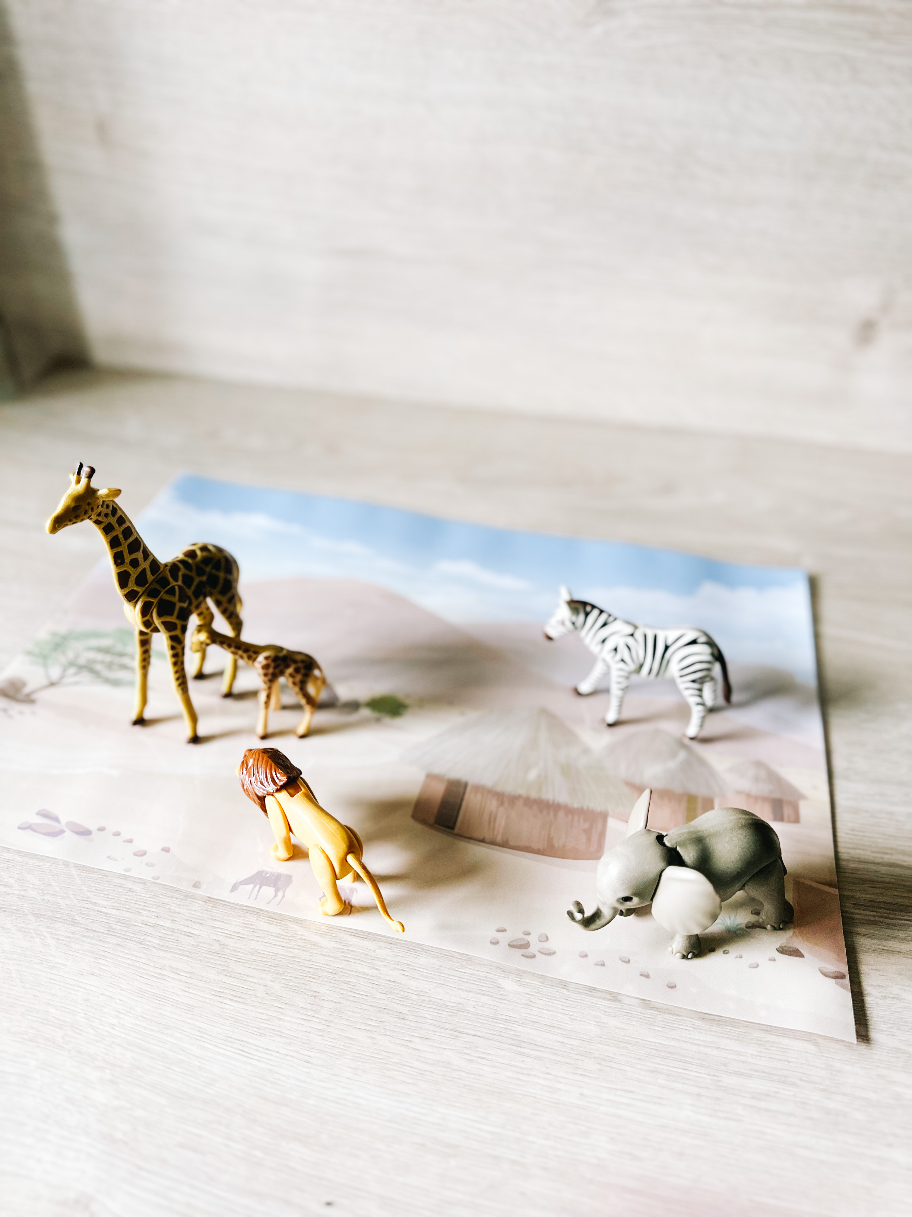 OÙ VIVENT LES ANIMAUX ? – J'imagINES